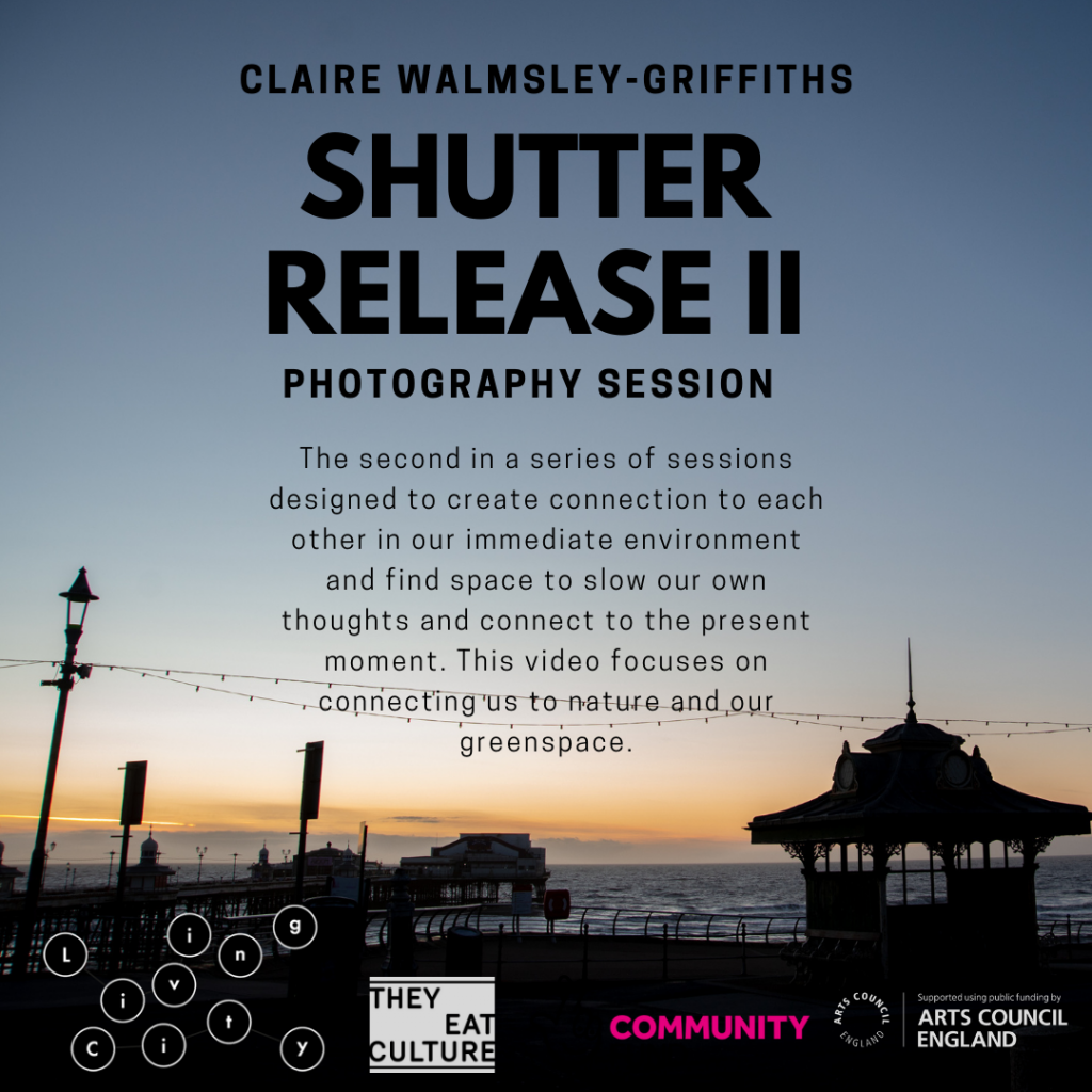 Claire Walmsley-Griffiths: Shutter Release II – The Living City